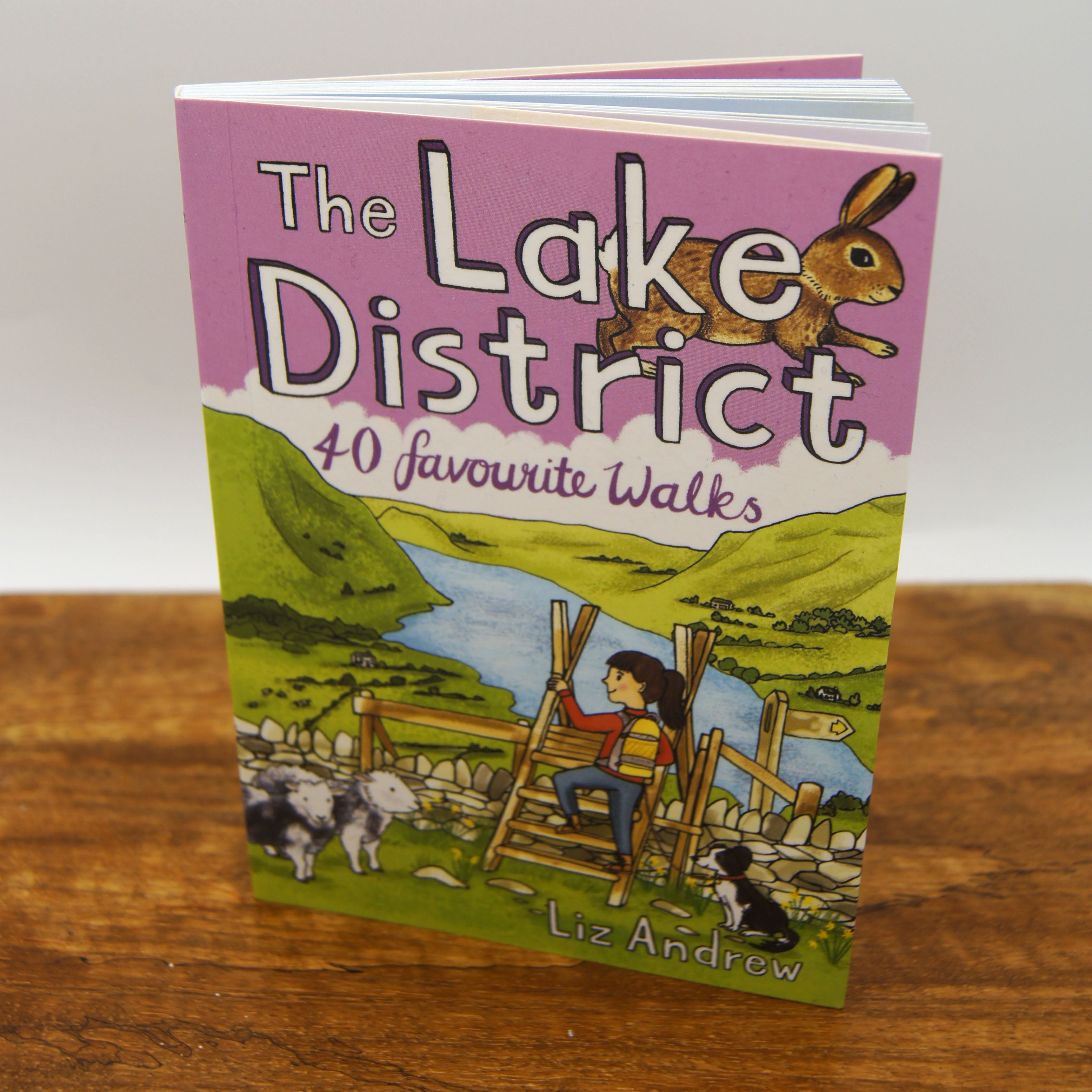 Books – Love the Lakes